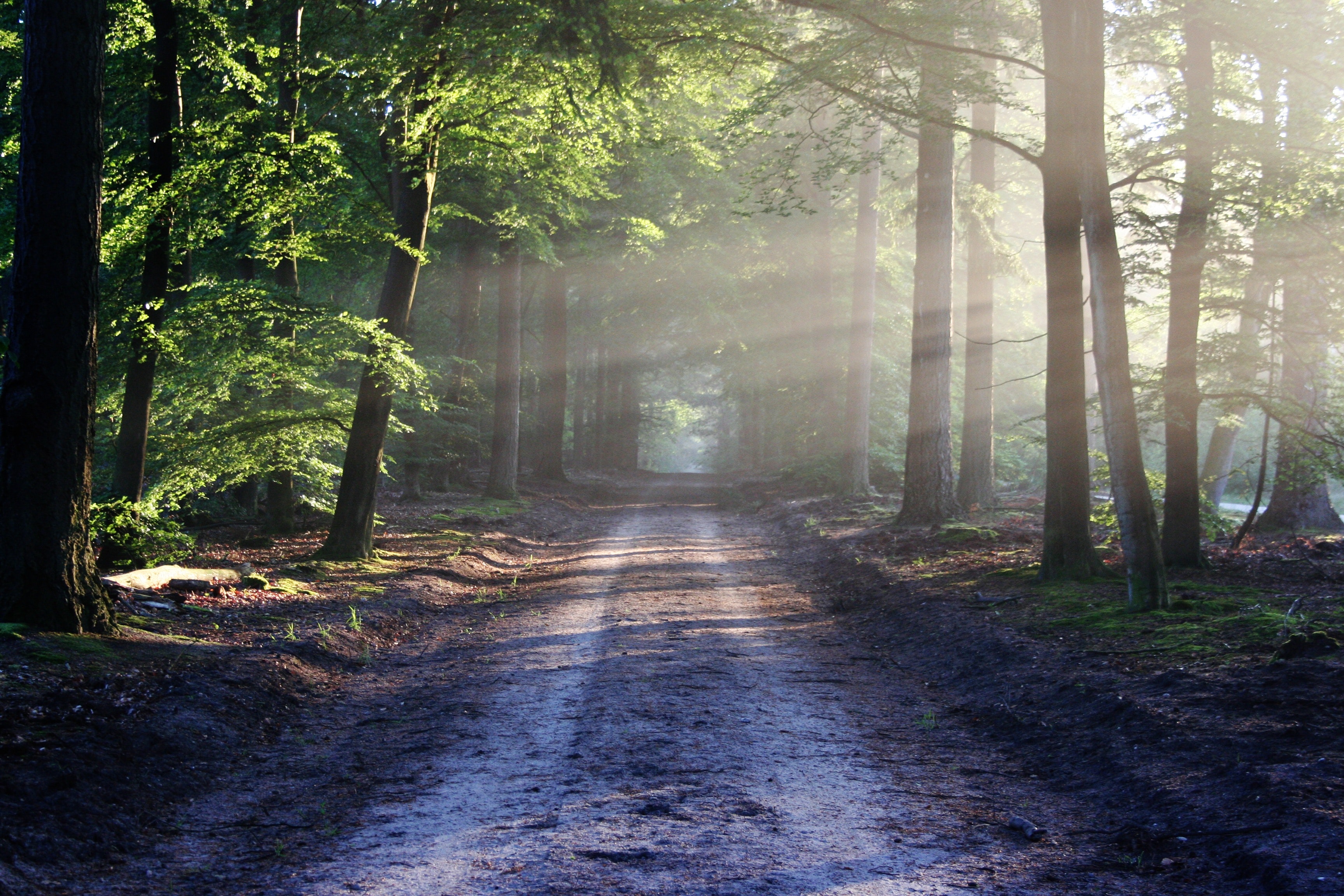 Finding the Path of Blessing (Proverbs 16:3) – Life Meets Theology