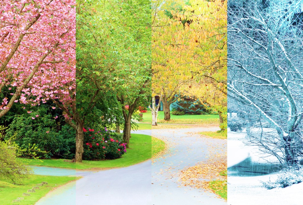 The Creation of Seasons (Genesis 1:14-19) – Life Meets Theology