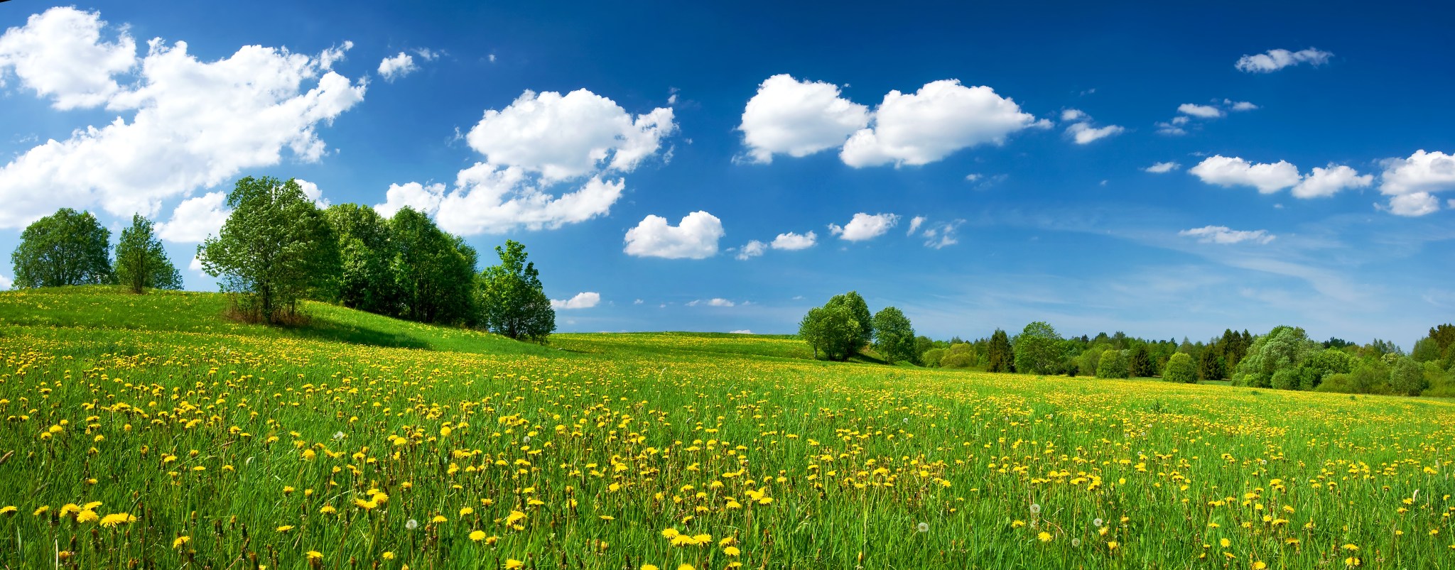 The Third Day of Creation (Genesis 1:9-13) – Life Meets Theology