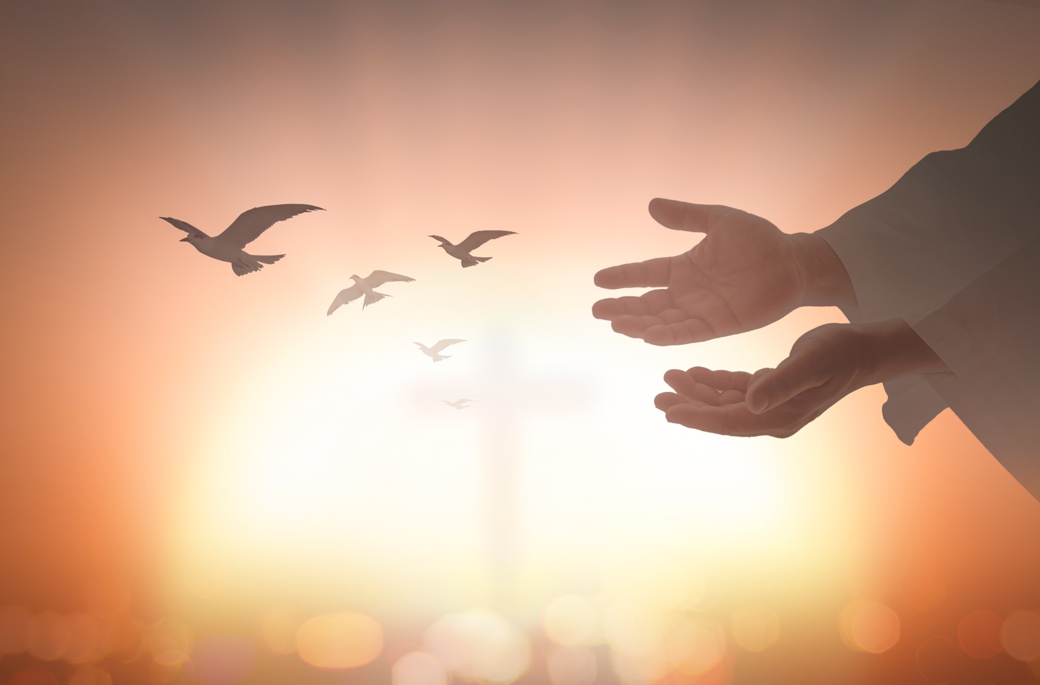 What is the function of humanity in creation? (Genesis 1:28-31) – Life ...