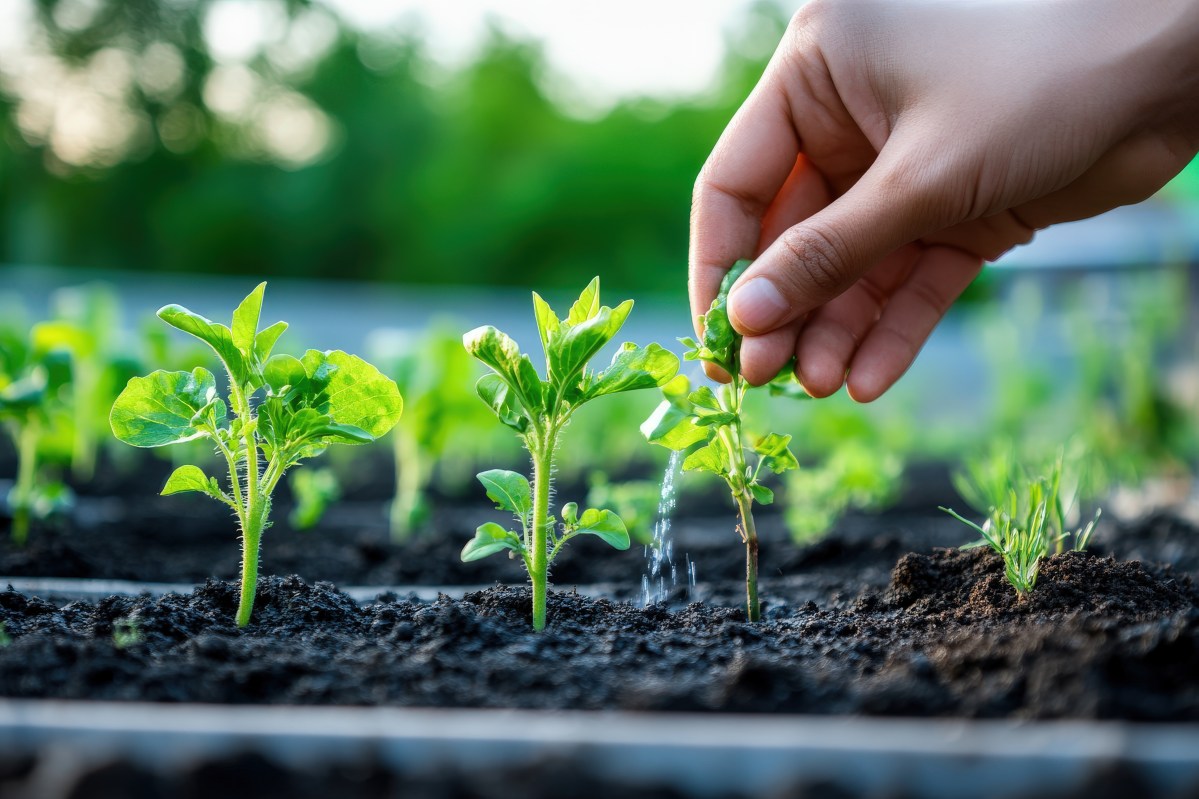 The Lord’s Plan in the Quiet Moments (Genesis 11:27-32) – Life Meets ...